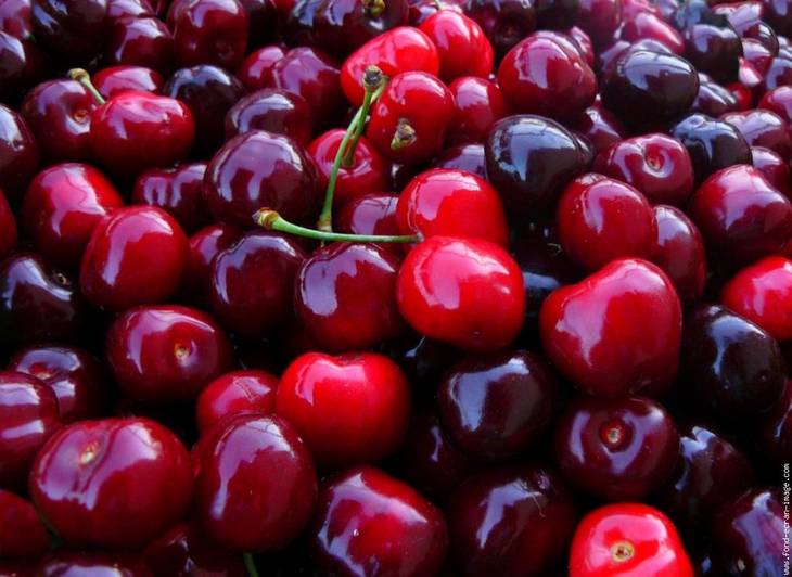 Protéger les cerises - Guide Astuces